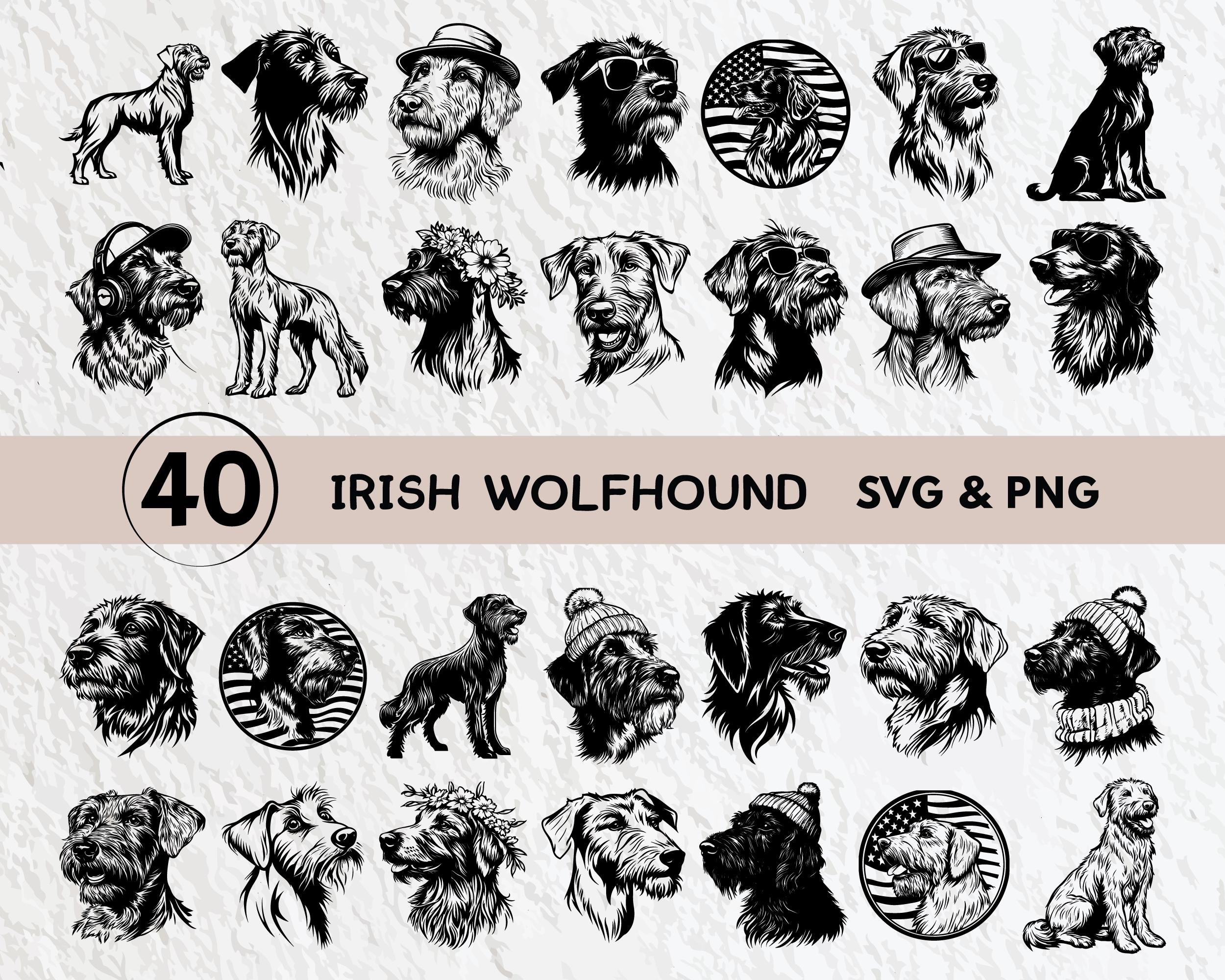 Irish Wolfhound Svg Bundle, Irish Wolfhound Silhouette, Irish Wolfhound ...