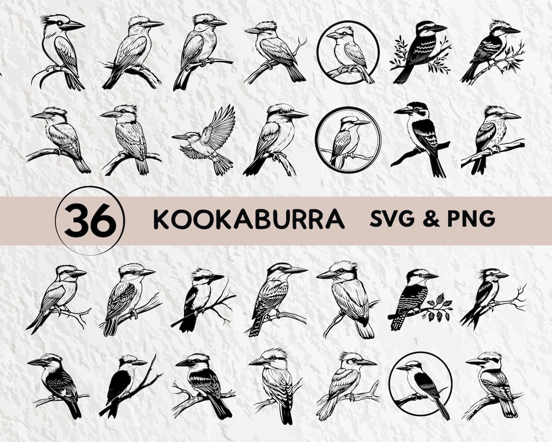 Kookaburra Svg Bundle, Kookaburra Silhouette, Kookaburra Clipart Png ...
