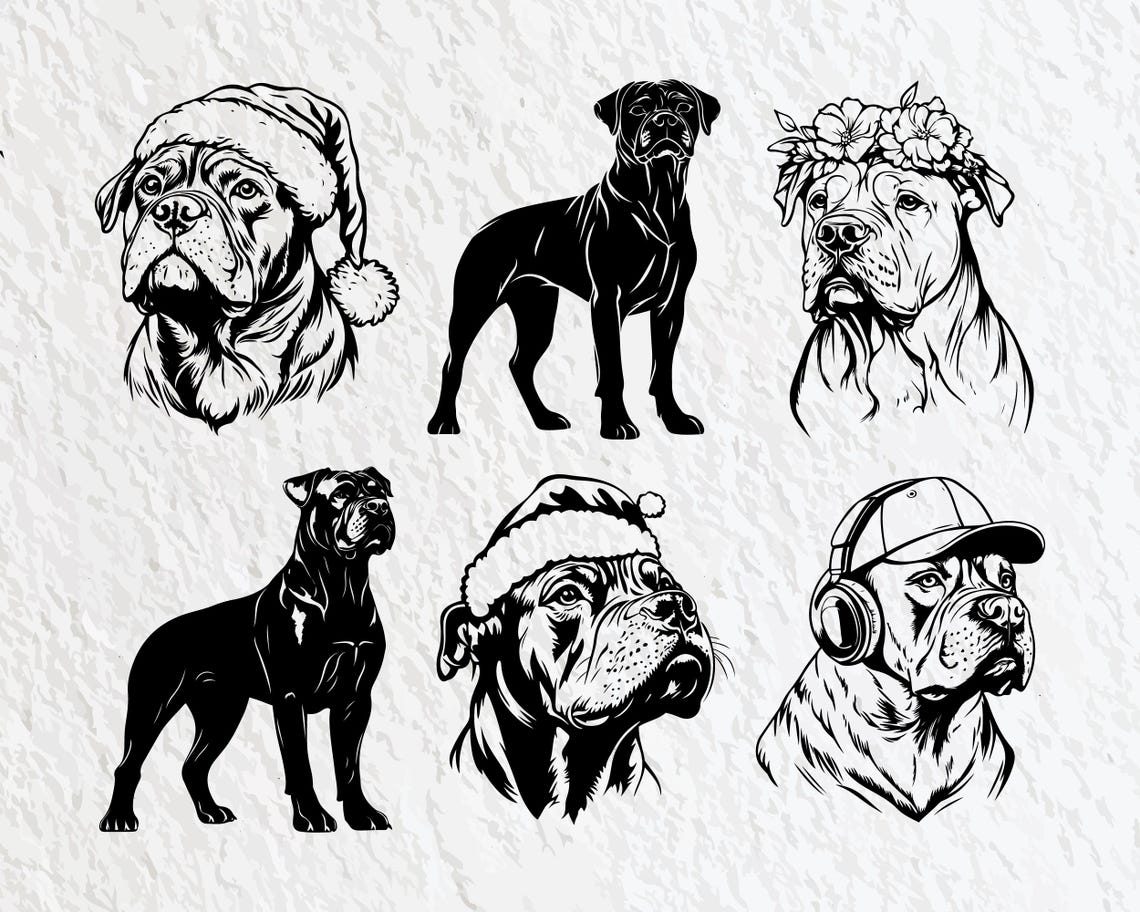Cane Corso Dog Svg Bundle, Cane Corso Dog Silhouette, Cane Corso Dog ...