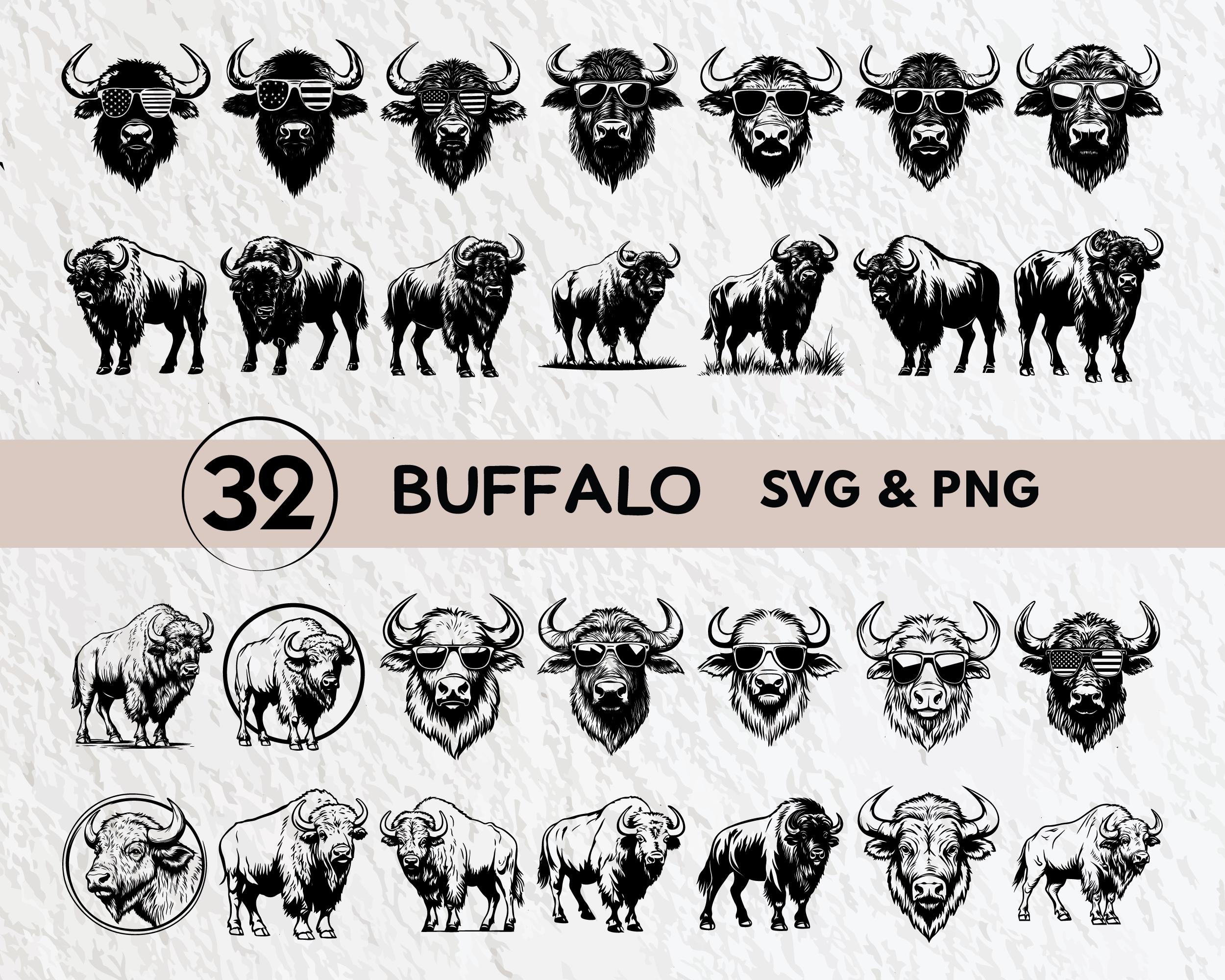 Buffalo Svg Bundle, Buffalo Silhouette, Buffalo Clipart Png, Buffalo ...