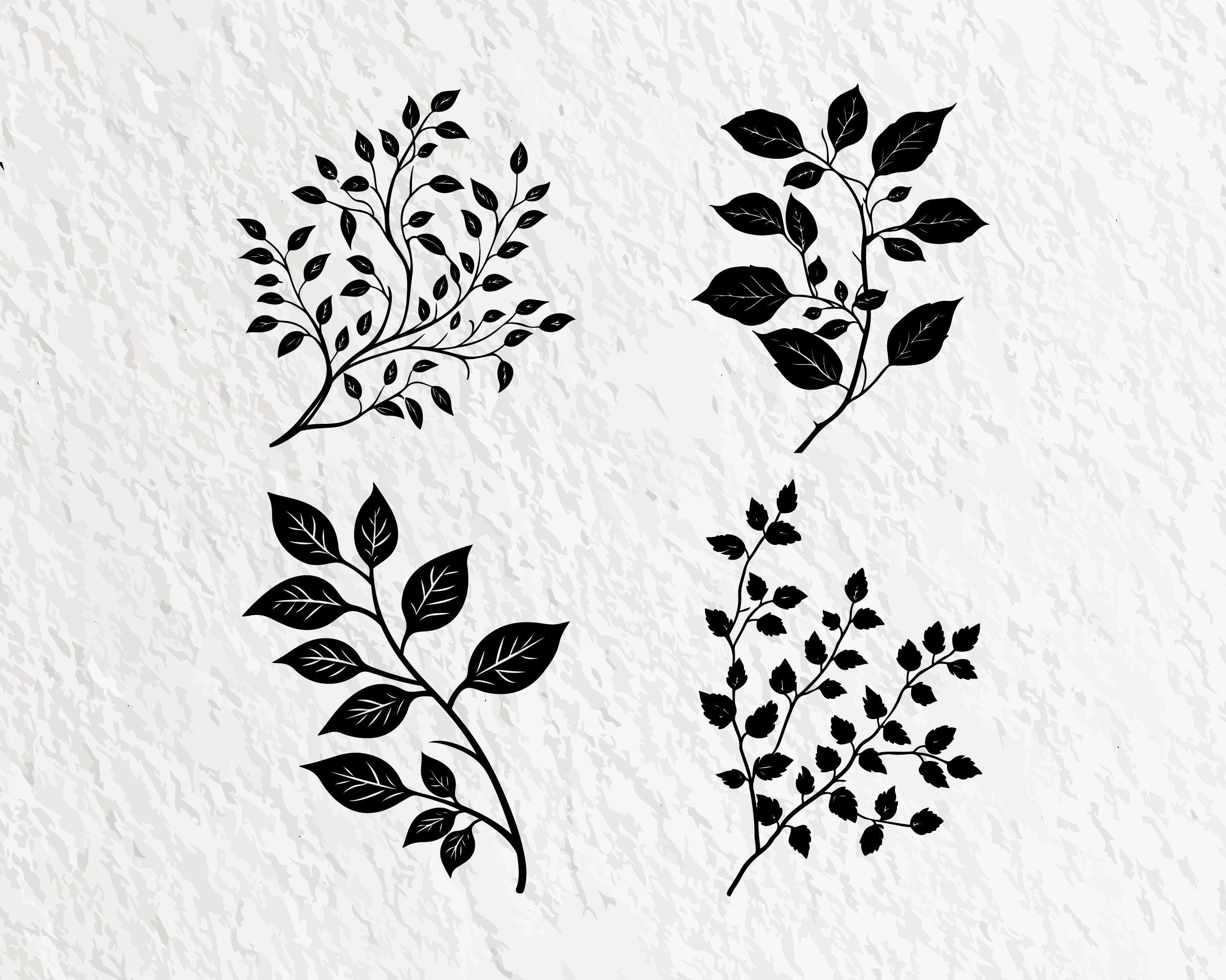 Botanical Leaves & Twigs SVG Bundle: Vector Cut Files (PNG, SVG) - Etsy