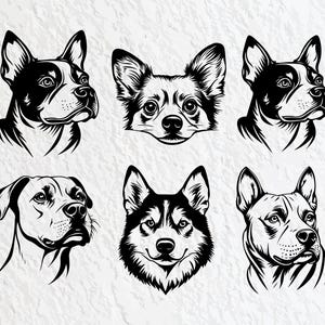 Pitsky Dog SVG Bundle: Silhouette, Clipart, Vector (PNG, SVG) - Etsy