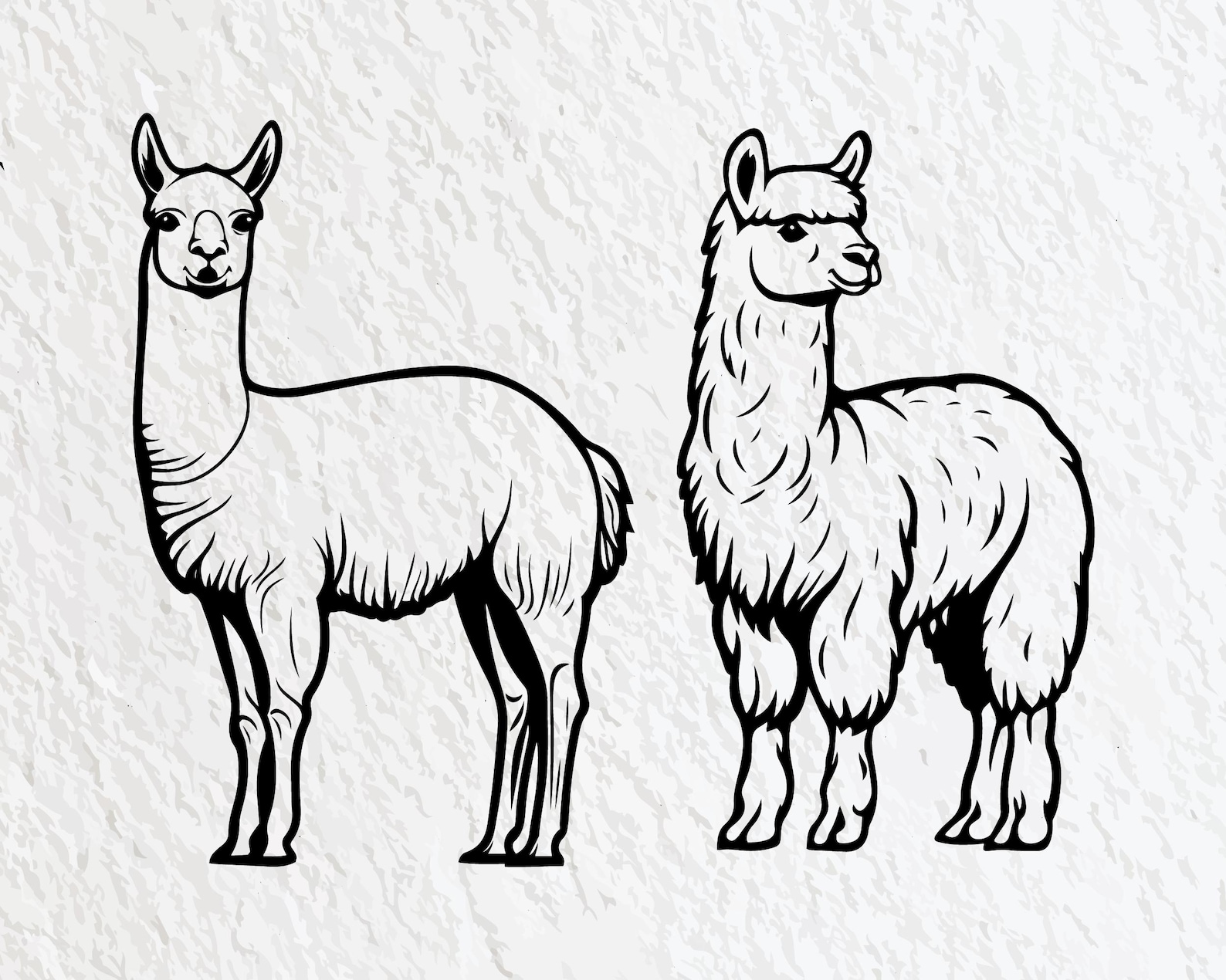 Alpaca Svg Bundle, Alpaca Silhouette, Alpaca Clipart Png, Alpaca ...