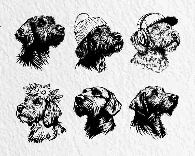 Italian Spinone Silhouette SVG & PNG Clipart Bundle - Etsy