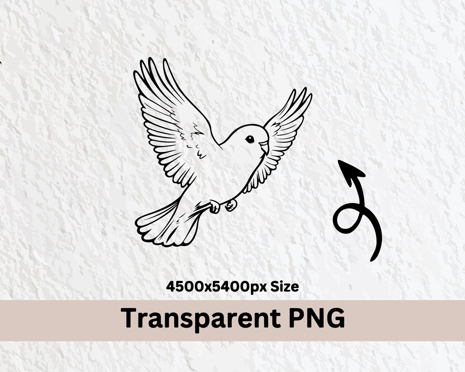 Budgie Bird SVG Bundle: Silhouette, Clipart, Vector (digital Download ...