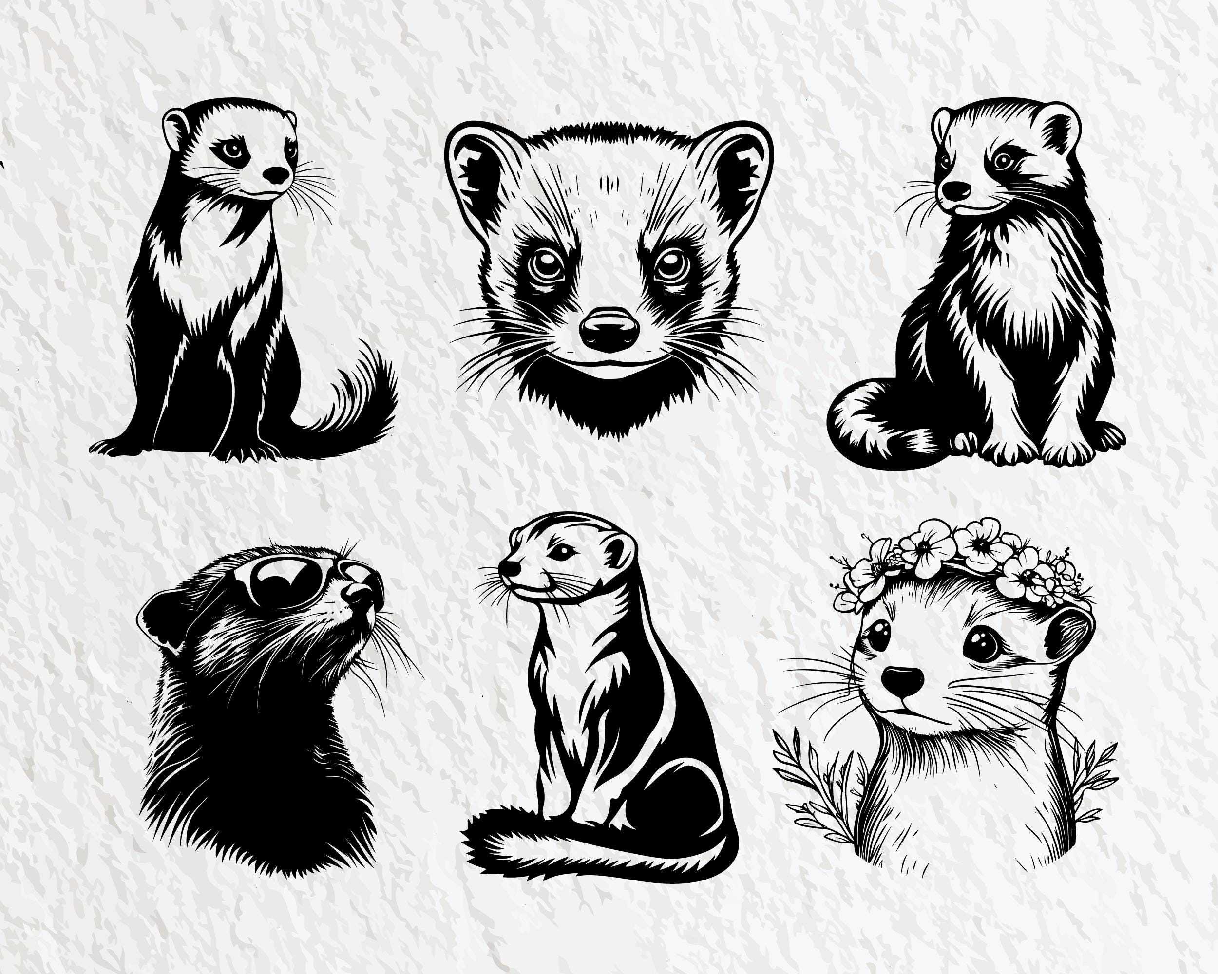 Ferret SVG Bundle: Silhouette Clipart, Vector Cut Files (PNG) - Etsy