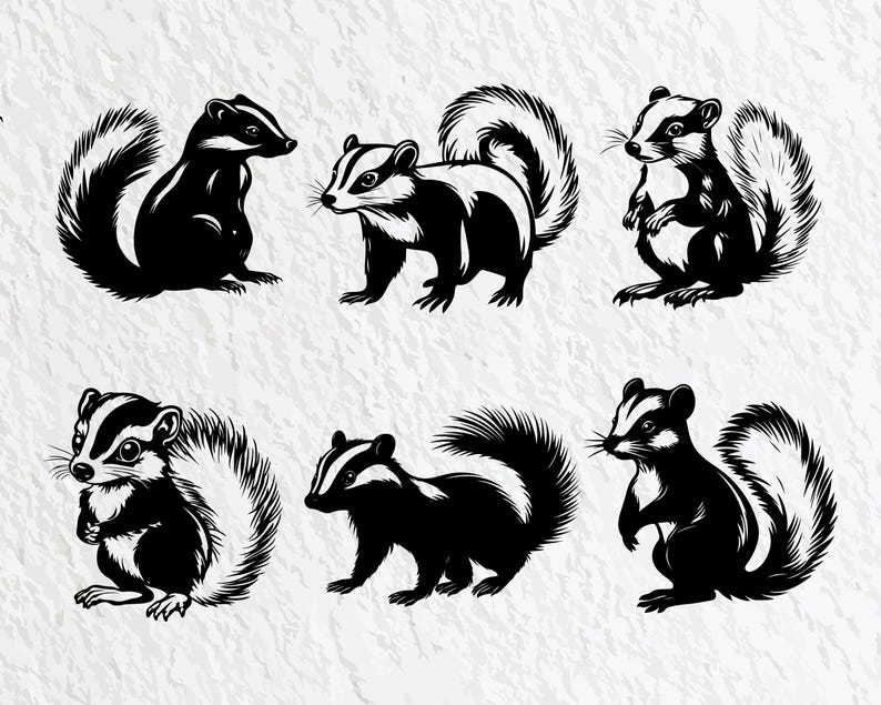Skunk SVG Bundle: Silhouette Clipart, Cricut Cut Files (PNG) - Etsy