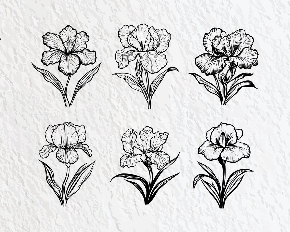 Iris Flower Svg Bundle, Iris Flower Silhouette, Iris Flower Clipart Png ...