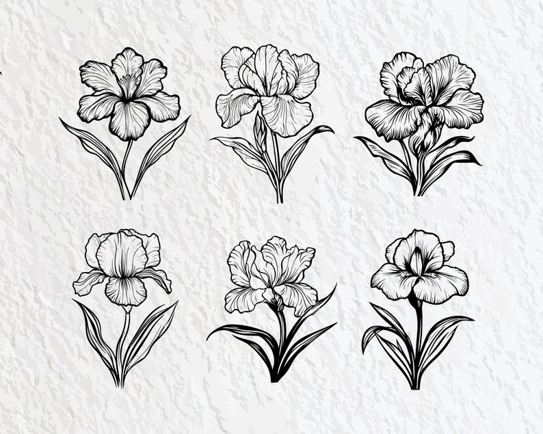 Iris Flower Svg Bundle, Iris Flower Silhouette, Iris Flower Clipart Png ...