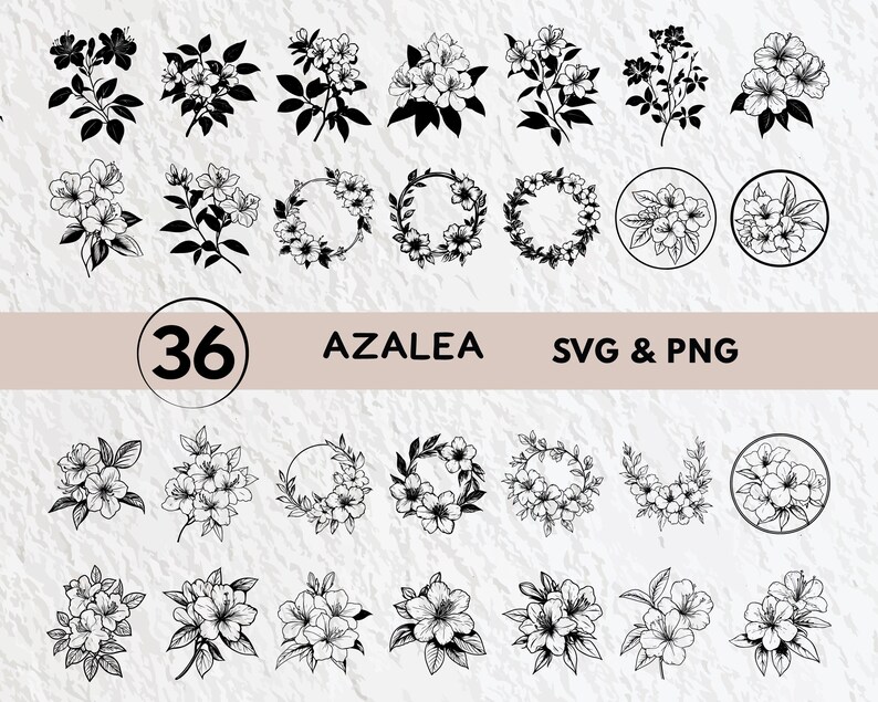 Azalea Flower SVG Bundle: Silhouette, Clipart, Vector (digital Download ...