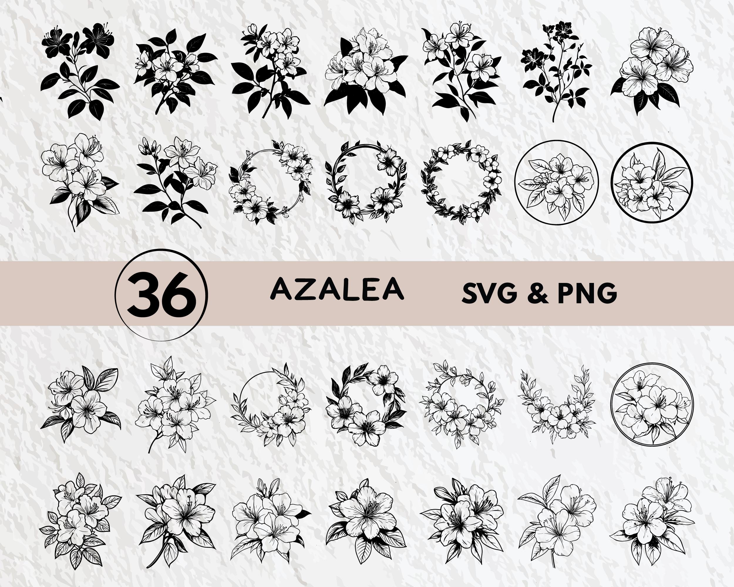 Azalea Flower Svg Bundle, Azalea Silhouette, Azalea Clipart Png, Azalea ...