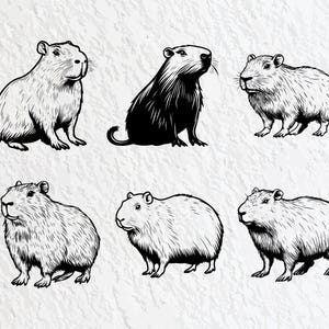 Capybara SVG Bundle: Silhouette Clipart, Logo Icon (PNG, Cricut Files ...
