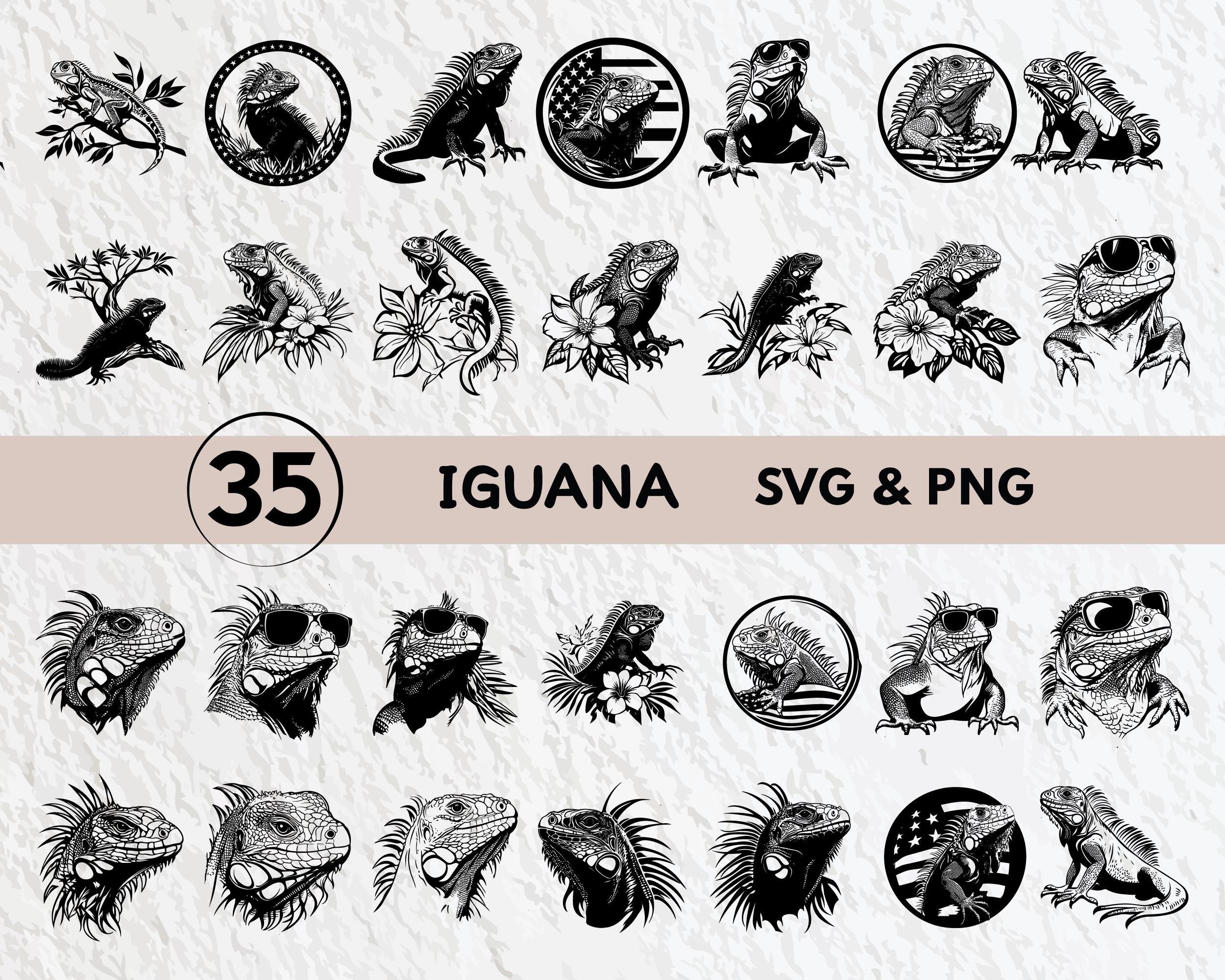 Iguana Svg Bundle, Iguana Silhouette, Iguana Clipart Png, Iguana ...