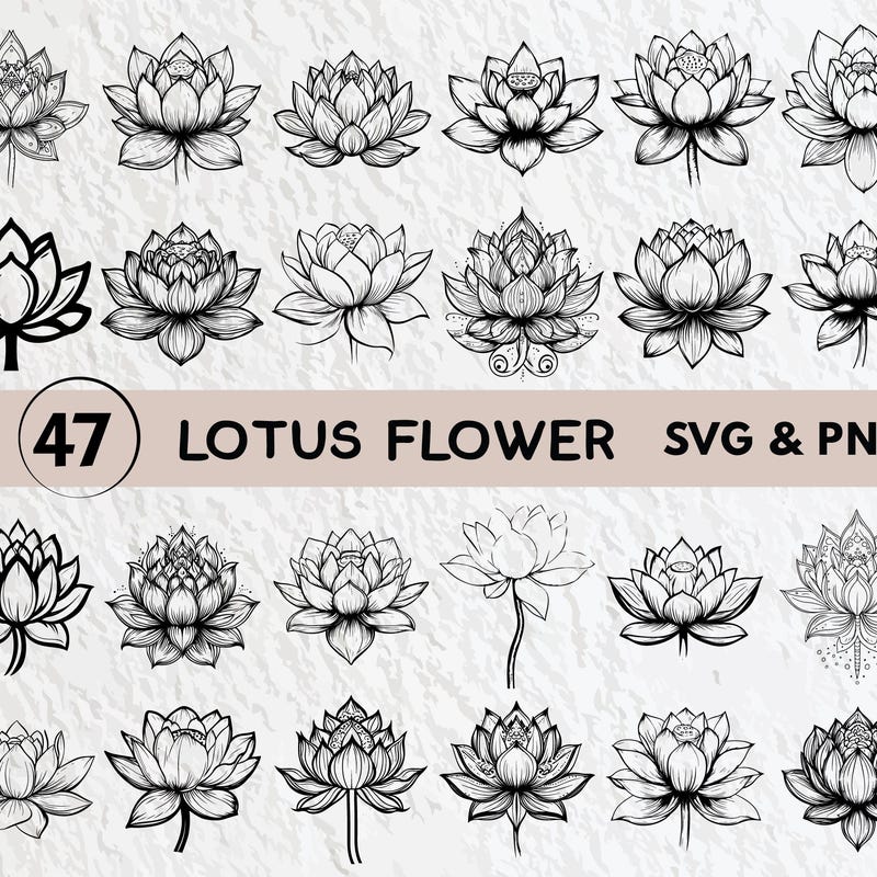 Lotus Outline - Etsy