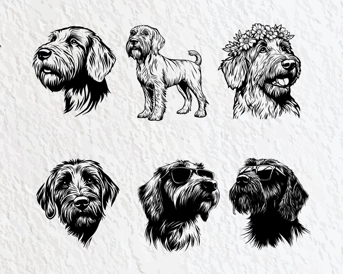 Spinone Italiano Dog SVG Bundle: Silhouette Clipart (digital Download ...