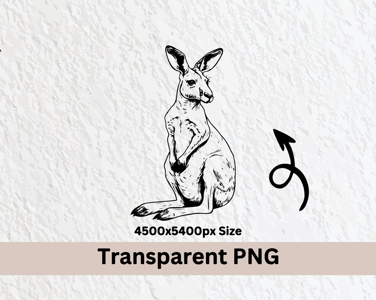 Kangaroo Svg Bundle, Kangaroo Silhouette, Kangaroo Clipart Png ...