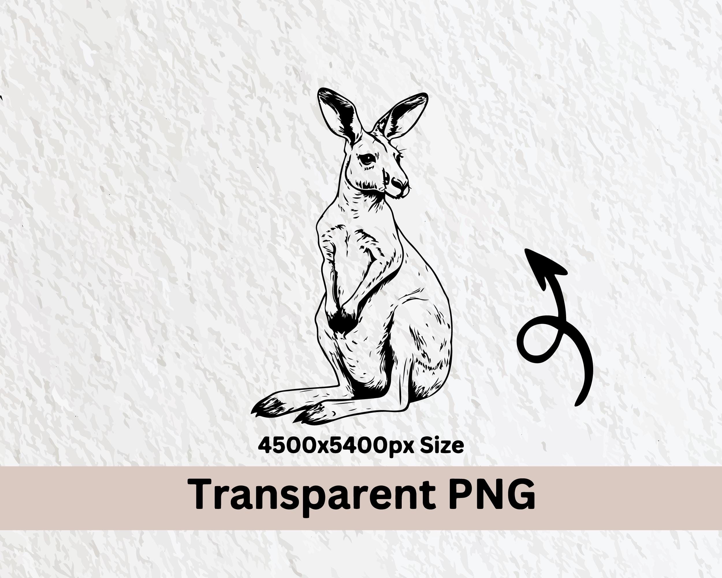 Kangaroo Svg Bundle, Kangaroo Silhouette, Kangaroo Clipart Png ...