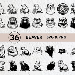 Beaver SVG Bundle: Silhouette Clipart, Vector Logo (PNG, Cricut Files ...