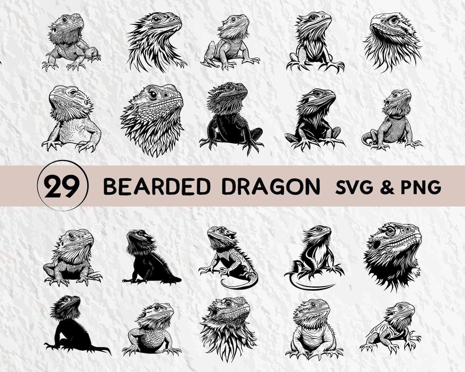 Bearded Dragon Silhouette Svg Bearded Dragon Svg Bundle Bearded