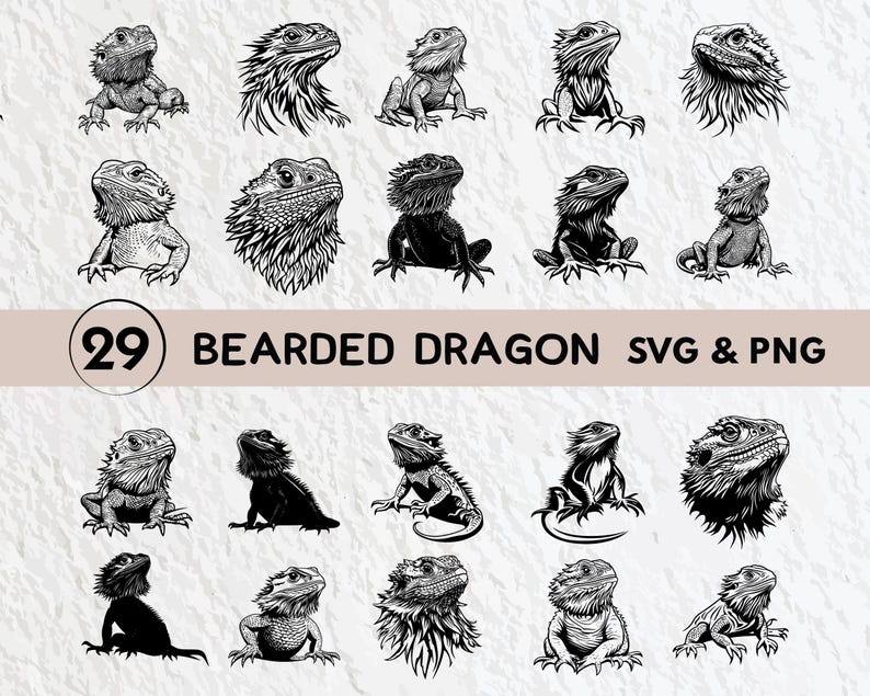 Bearded Dragon Silhouette Svg, Bearded Dragon Svg Bundle, Bearded ...