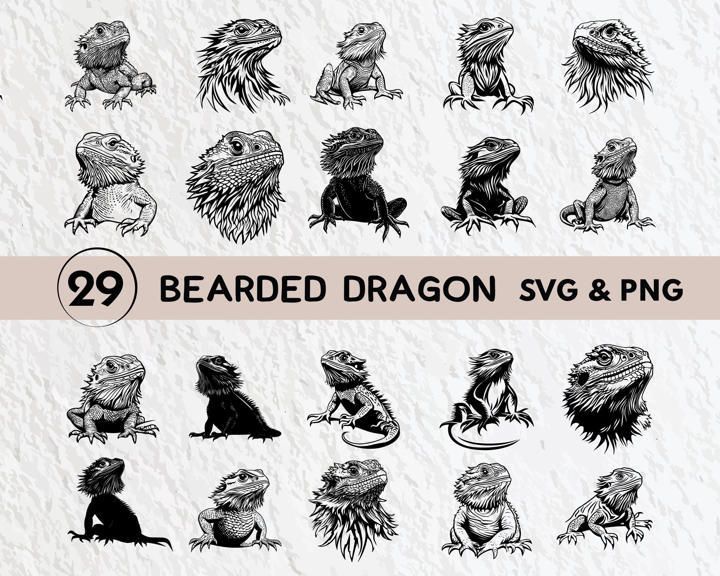Bearded Dragon Silhouette Svg, Bearded Dragon Svg Bundle, Bearded ...