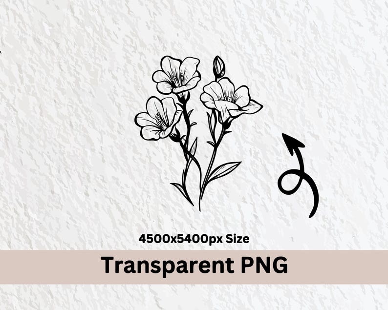 Freesia Flower SVG Bundle: Silhouette, Clipart, Vector (digital ...