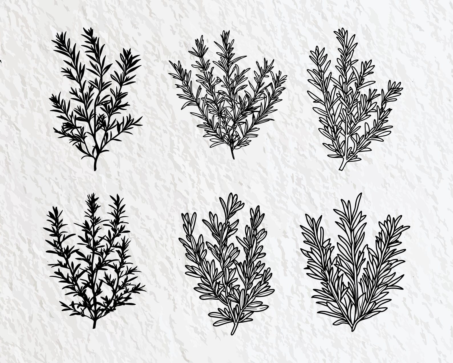 Rosemary SVG Bundle: Logo Icon Vector Clipart (PNG, Cricut, Decal) - Etsy