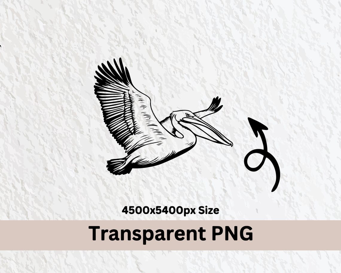 Pelican Svg Bundle, Pelican Silhouette, Pelican Clipart Png, Pelican ...