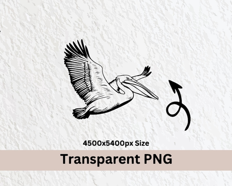 Pelican Svg Bundle, Pelican Silhouette, Pelican Clipart Png, Pelican ...