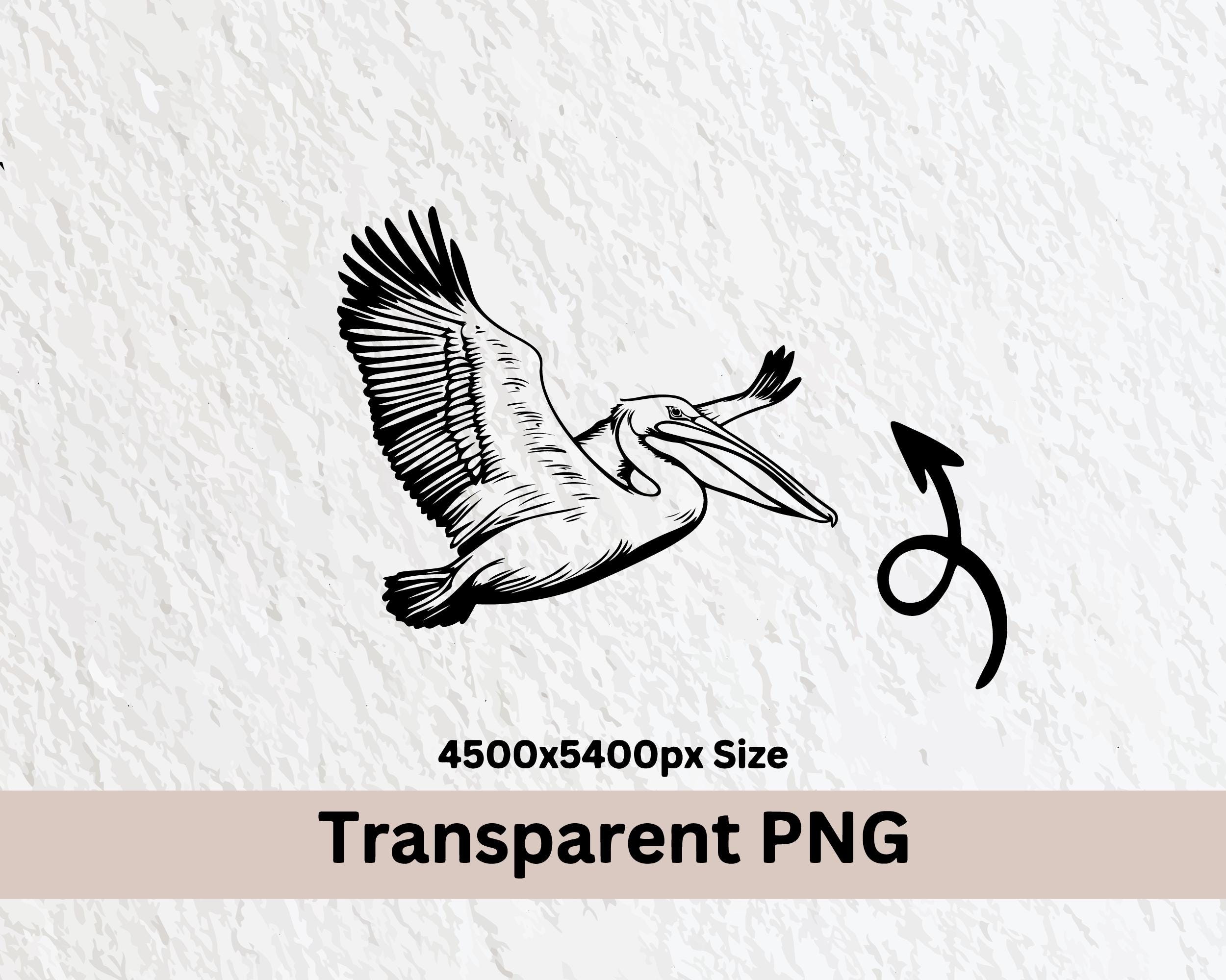 Pelican Svg Bundle, Pelican Silhouette, Pelican Clipart Png, Pelican ...