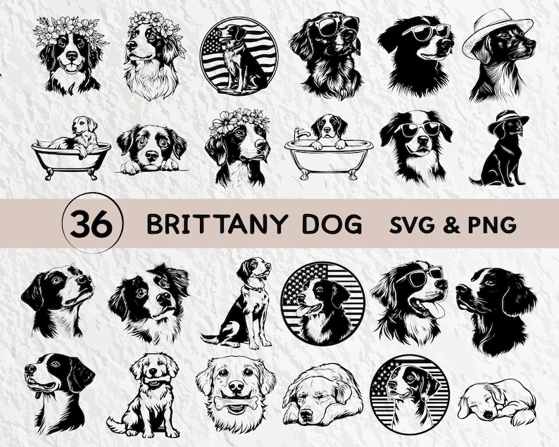 Brittany Svg Bundle, Brittany Silhouette, Brittany Clipart Png ...