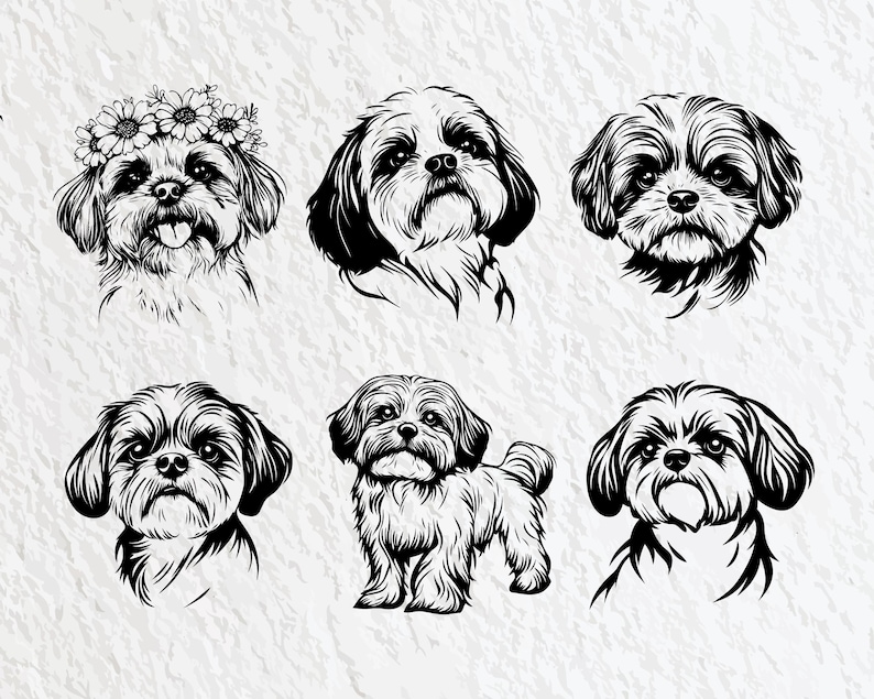 Shih Tzu SVG Bundle: Dog Silhouette Clipart (PNG, Vector) - Etsy