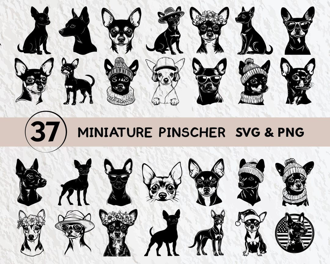 Miniature Pinscher Svg Bundle, Miniature Pinscher Silhouette, Miniature ...