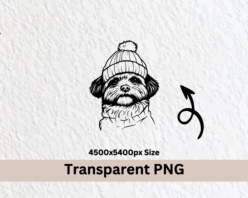 Shichon Dog SVG Bundle: Silhouette, Clipart, Outline, Vector (PNG) - Etsy