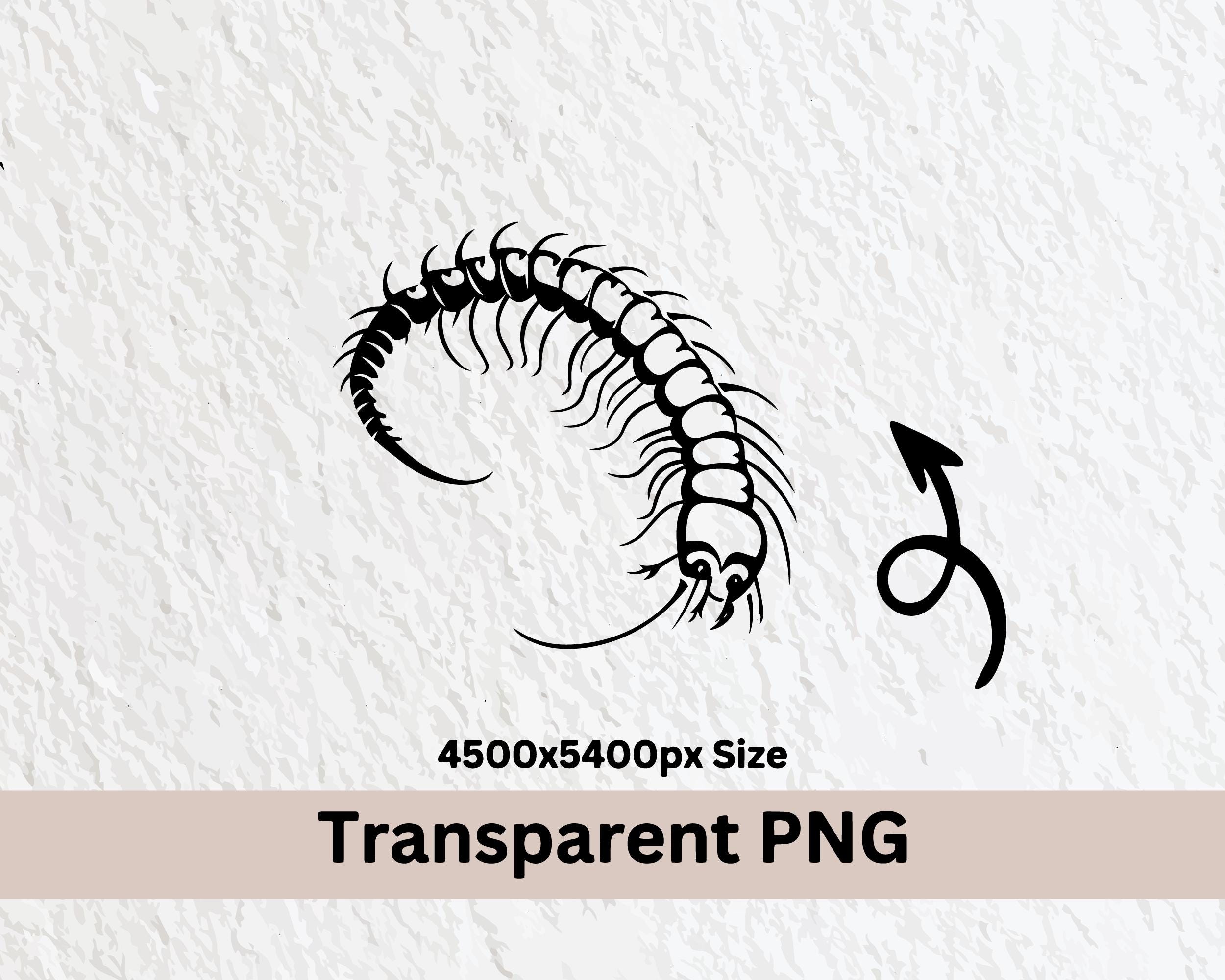 Centipedes SVG Bundle: Silhouette, Clipart, Vector (digital Download ...