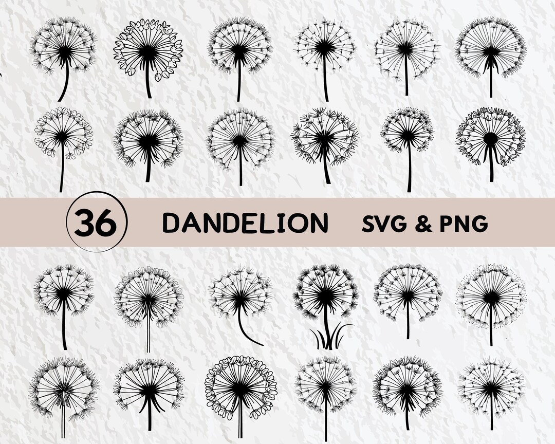 Dandelion Svg Bundle, Dandelion Silhouette, Dandelion Clipart Png ...