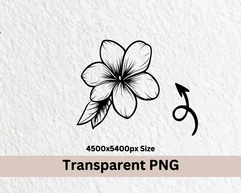 Plumeria SVG Bundle: Floral Silhouette Clipart (PNG, Vector) - Etsy