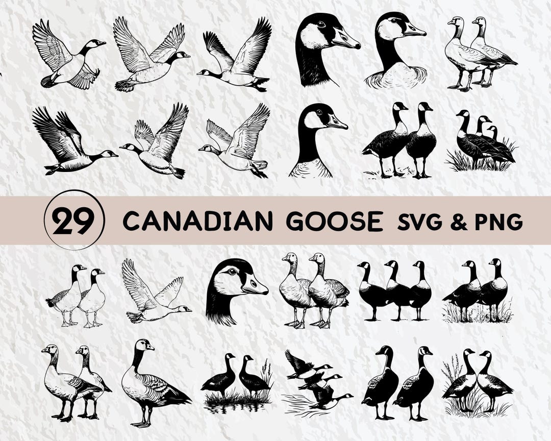 Canadian Goose Svg Bundle, Wild Canadian Goose Silhouette, Flying ...