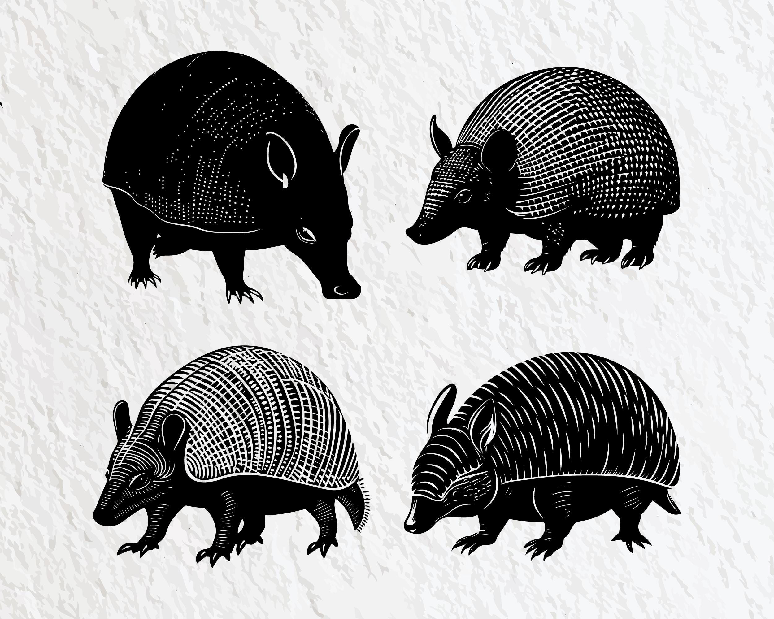 Armadillo SVG Bundle: Silhouette Clipart, Logo Icon (PNG, Vector) - Etsy