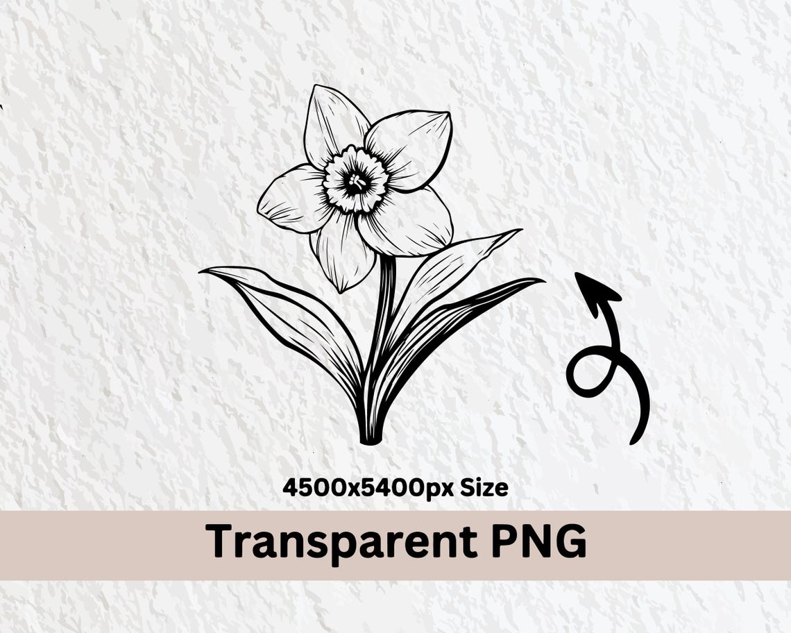 Narcissus Flower SVG Bundle: Floral Clipart, Vector Cut Files - Etsy