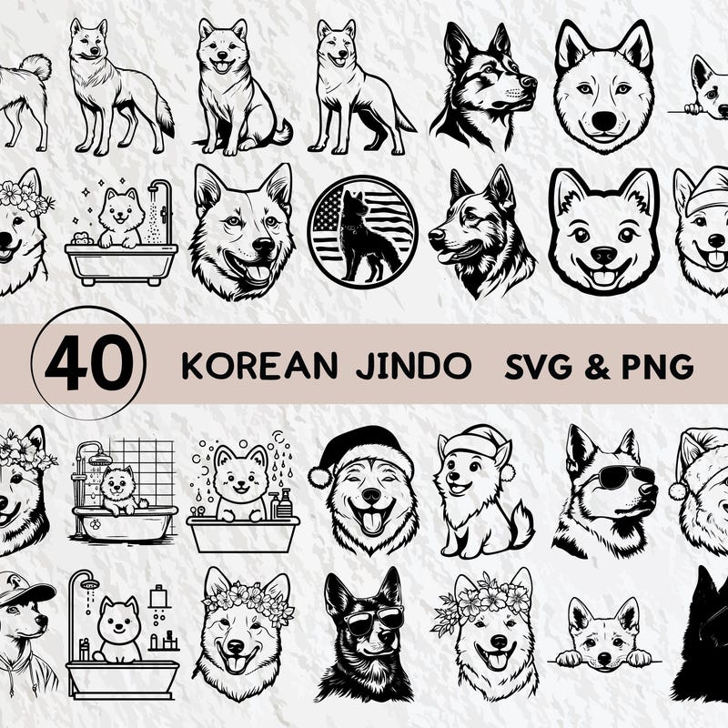 Jindo - Etsy