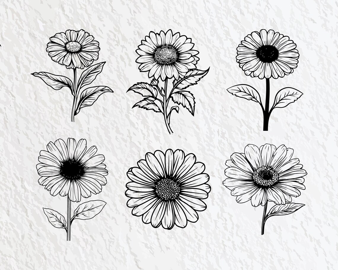 Calendula Flower SVG Bundle: Silhouette, Clipart, Vector (PNG, Cricut ...