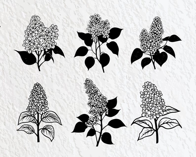 Lilac Flowers SVG Bundle: Floral Clipart, Vector Icon (digital Download ...