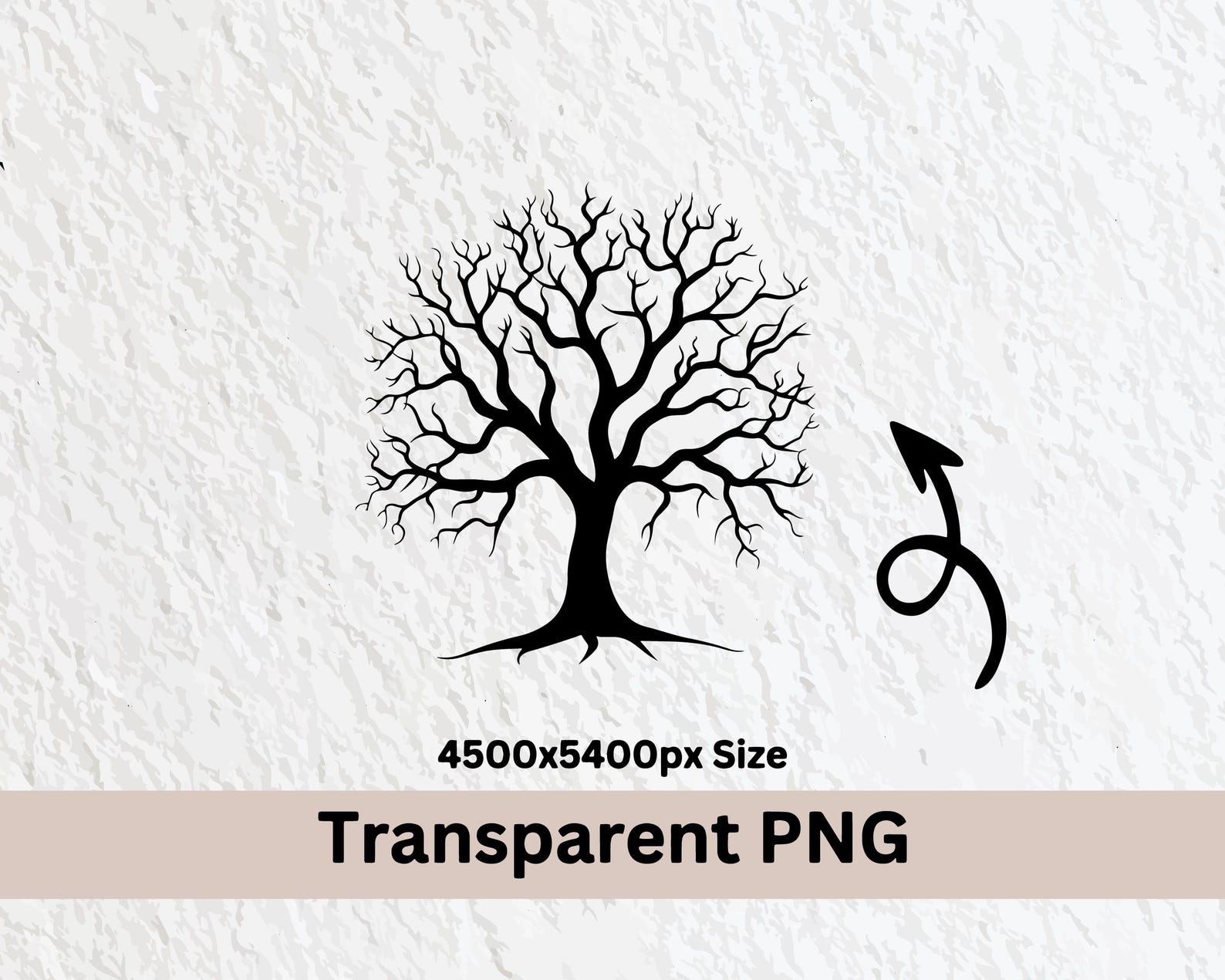 Oak Tree SVG Bundle: Silhouette Clipart, Logo Icon (PNG, Vector) - Etsy