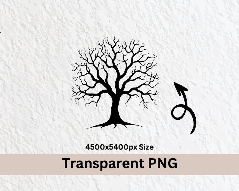 Oak Tree SVG Bundle: Silhouette Clipart, Logo Icon (PNG, Vector) - Etsy