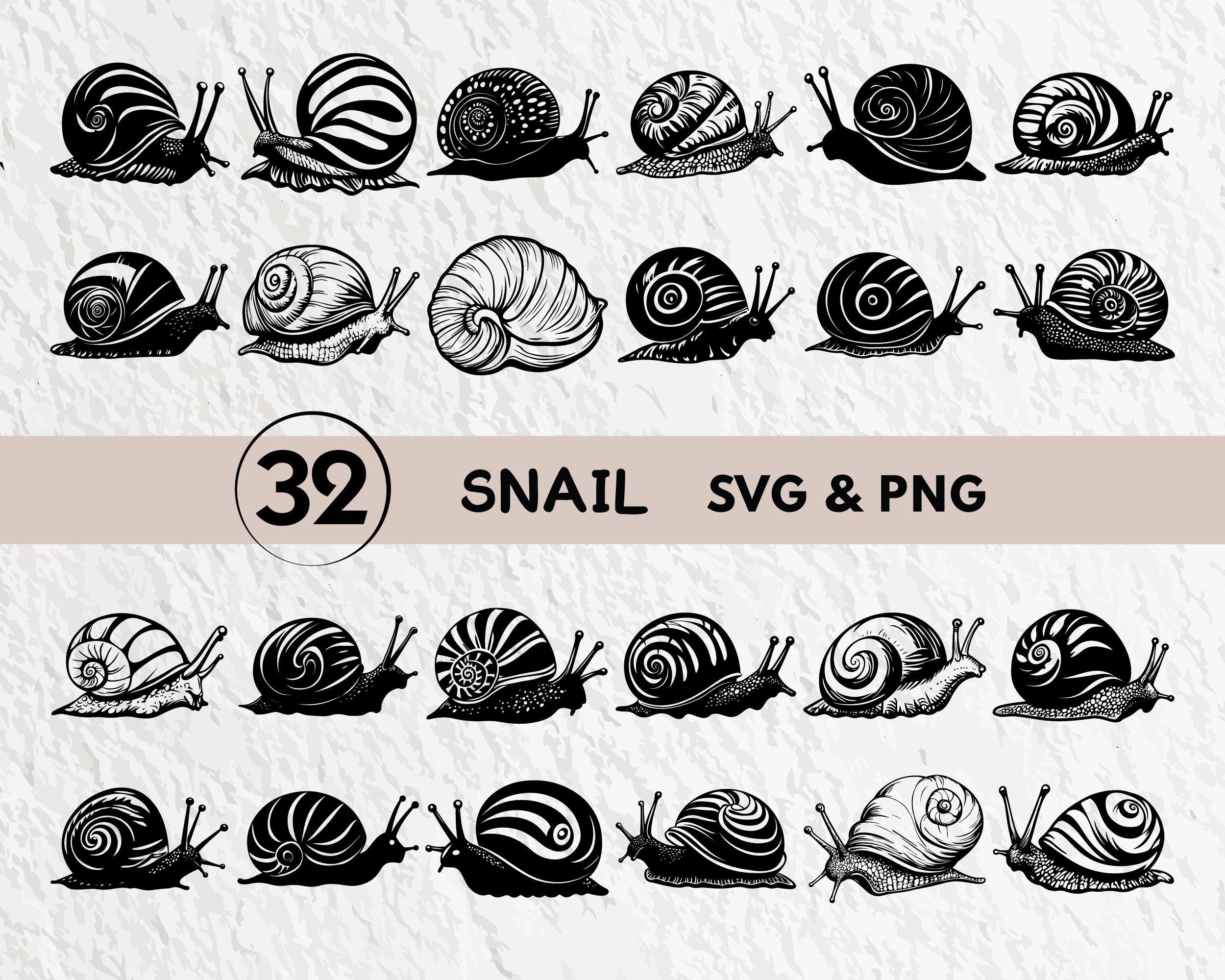 Snail SVG Bundle: Silhouette Clipart, Vector Icon (PNG, Cricut Files ...