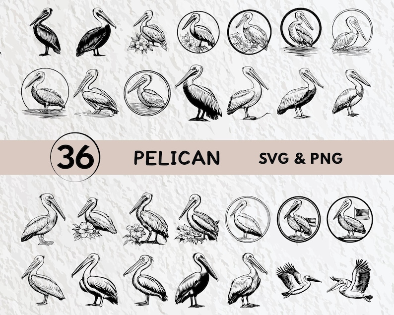 Pelican SVG Bundle: Silhouette Clipart, Vector Decal (PNG, Cricut Files ...