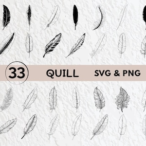 Quill SVG Bundle: Feather Pen Clipart, Logo & Decal (PNG, Cricut Files ...