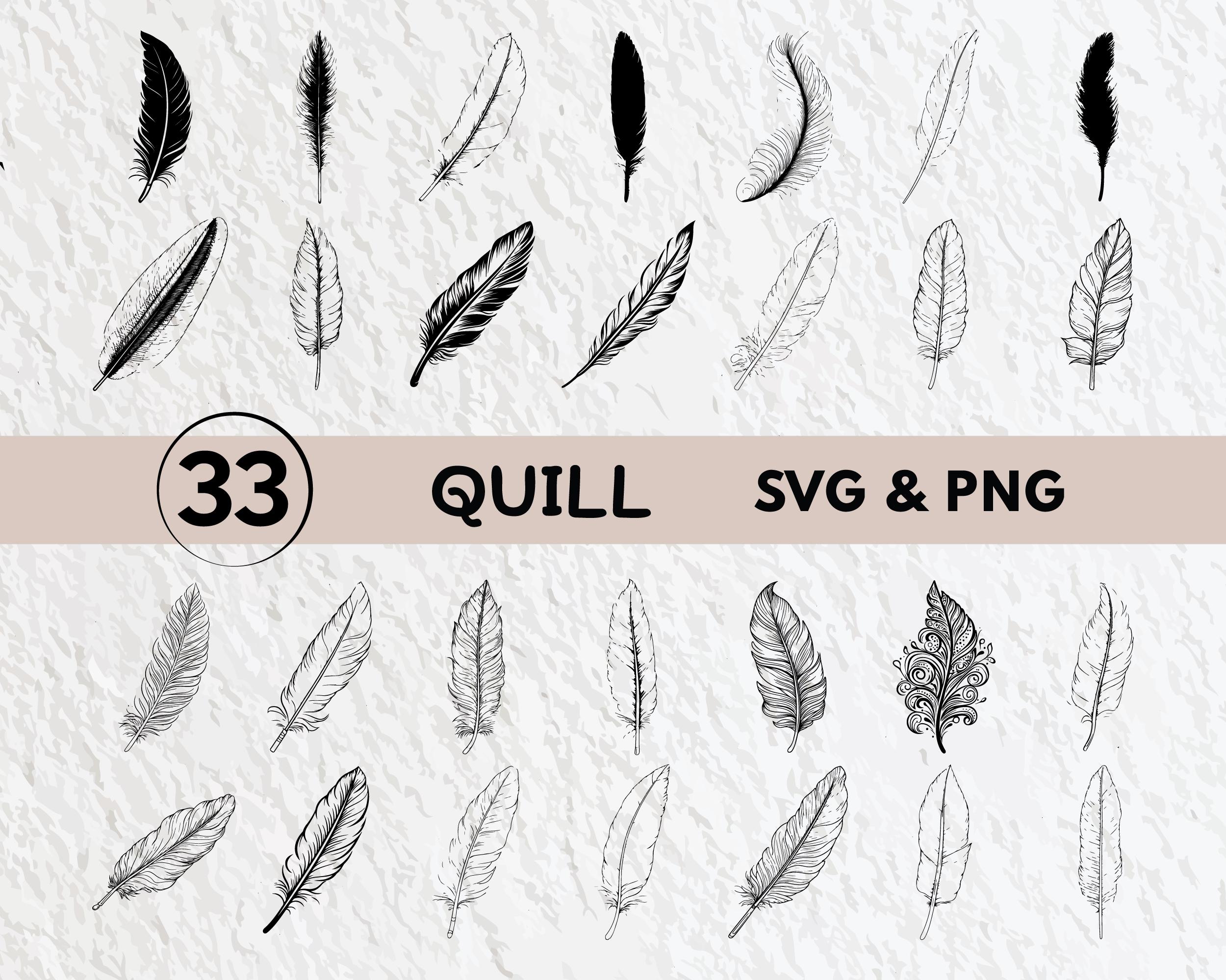 Quill SVG Bundle: Feather Pen Clipart, Logo & Decal (PNG, Cricut Files ...