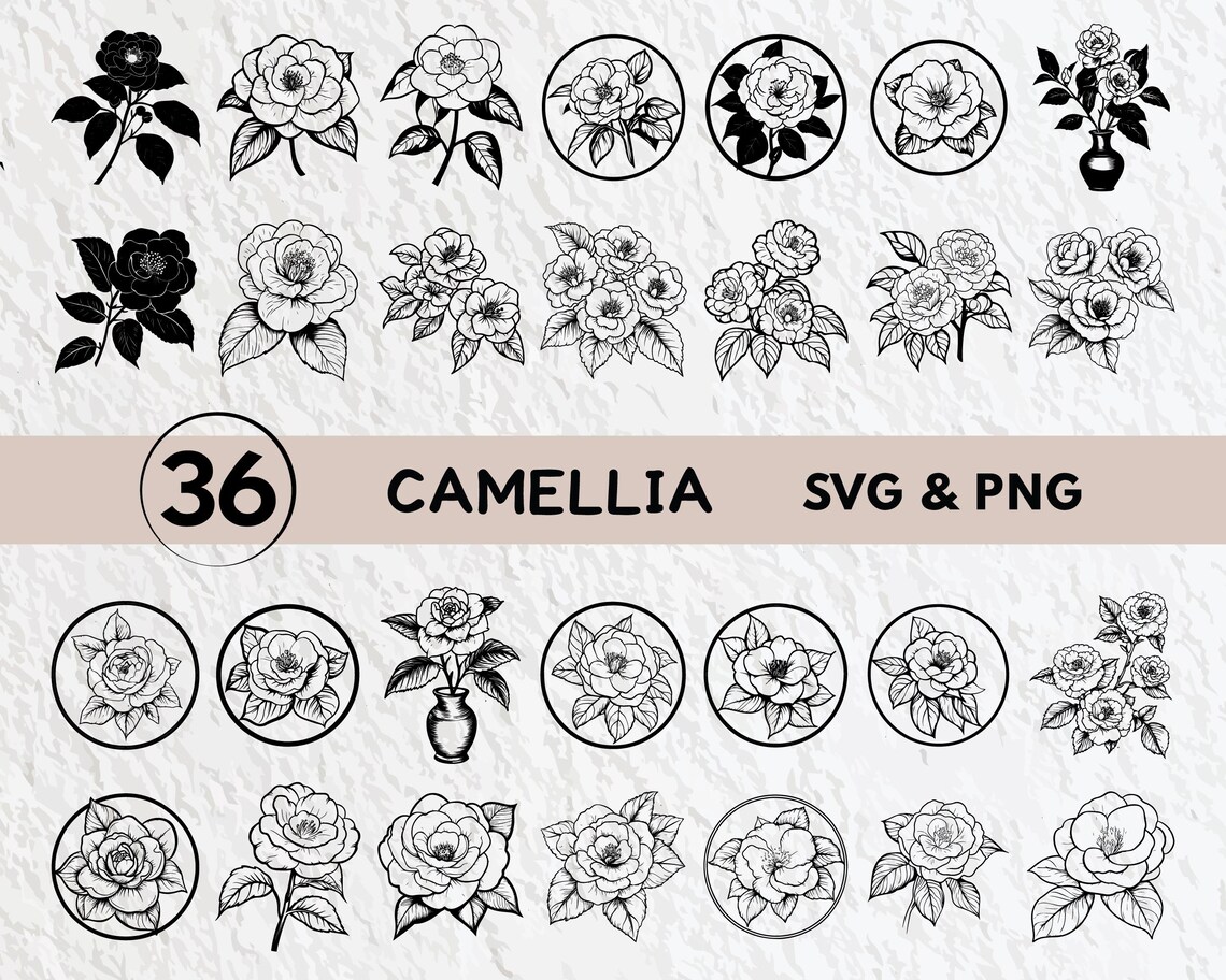 Camellia Svg Bundle, Camellia Silhouette, Camellia Clipart Png ...